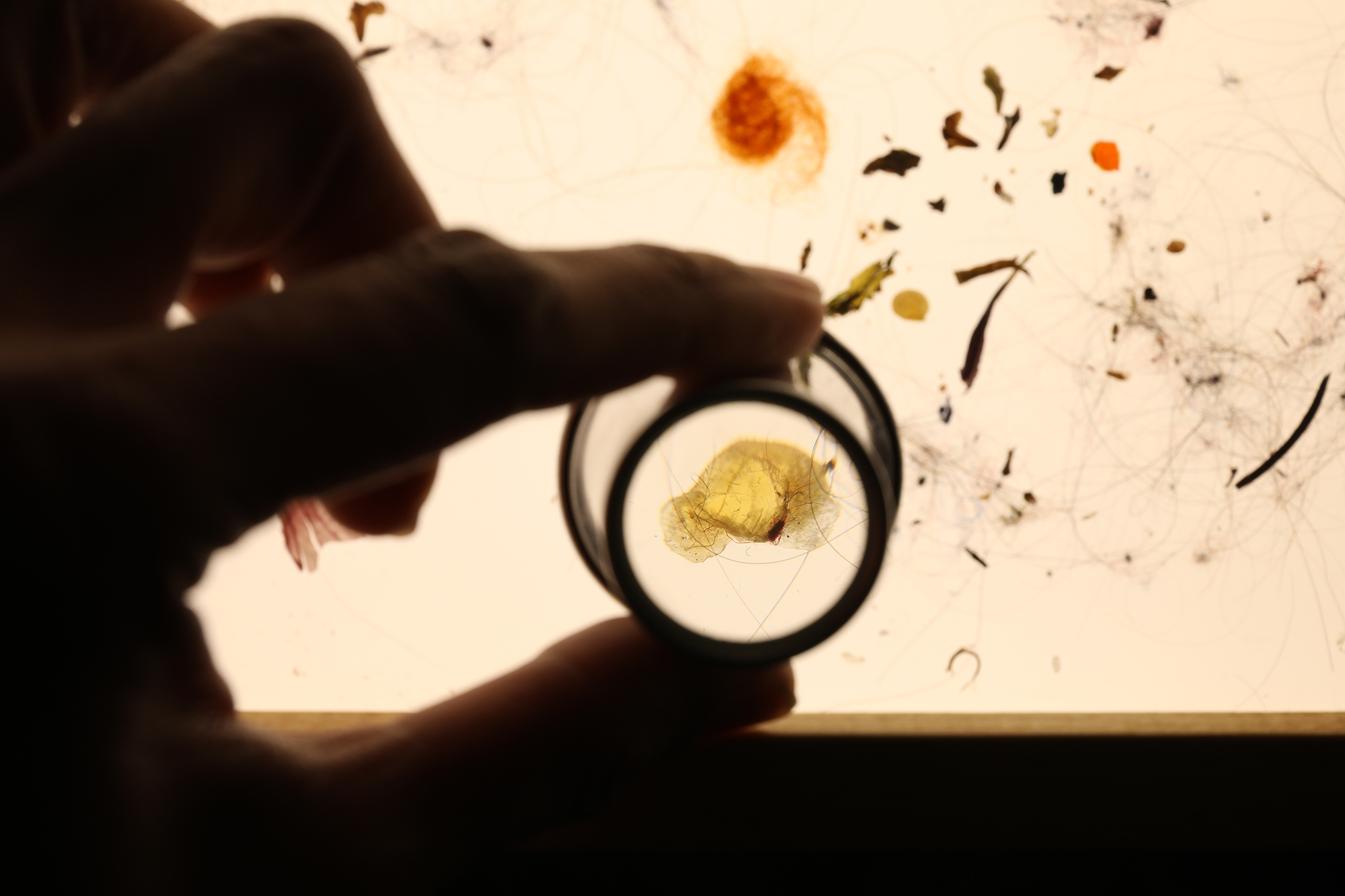 shubhangi-singh / WORKS / ⊸ Dust Boxes